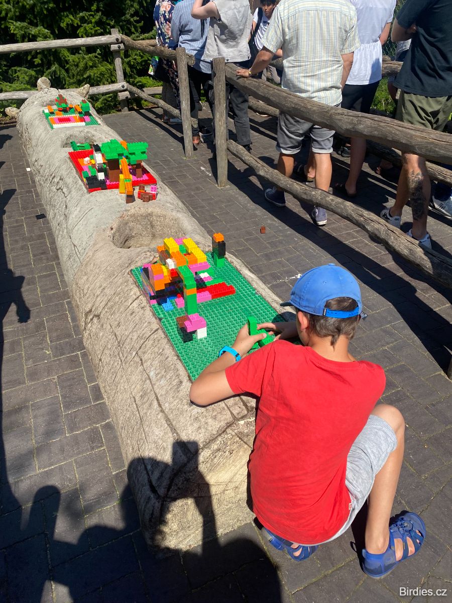 Legoland Dánsko s dětmi – tipy a zkušenosti | Birdies.cz
