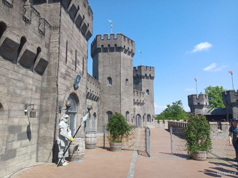 Legoland Dánsko s dětmi – tipy a zkušenosti | Birdies.cz