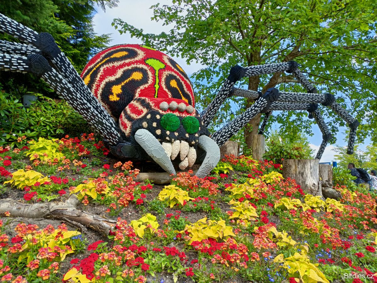 Legoland Dánsko s dětmi – tipy a zkušenosti | Birdies.cz